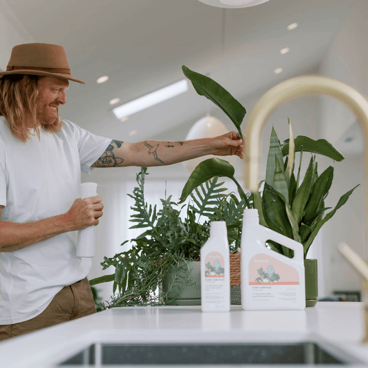 Forsana - Better Cleaning, Plant Care & Water Treament